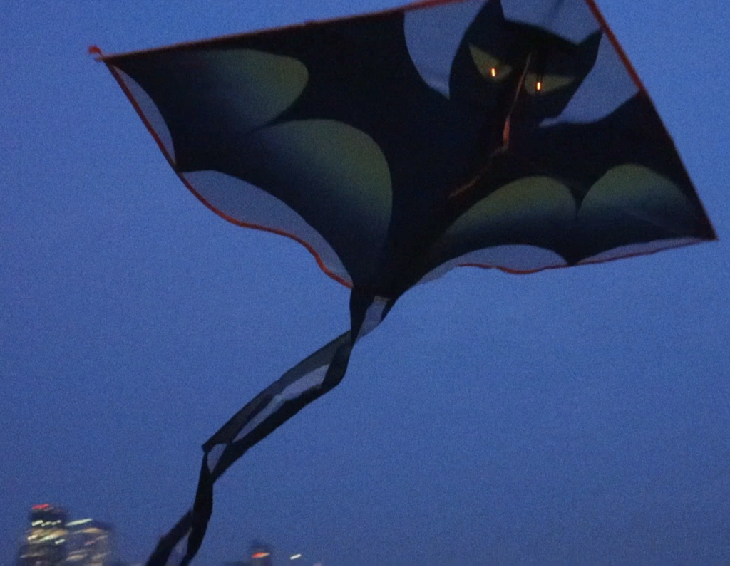 Chibitronics Light-Up LED Kite - Light Stitches